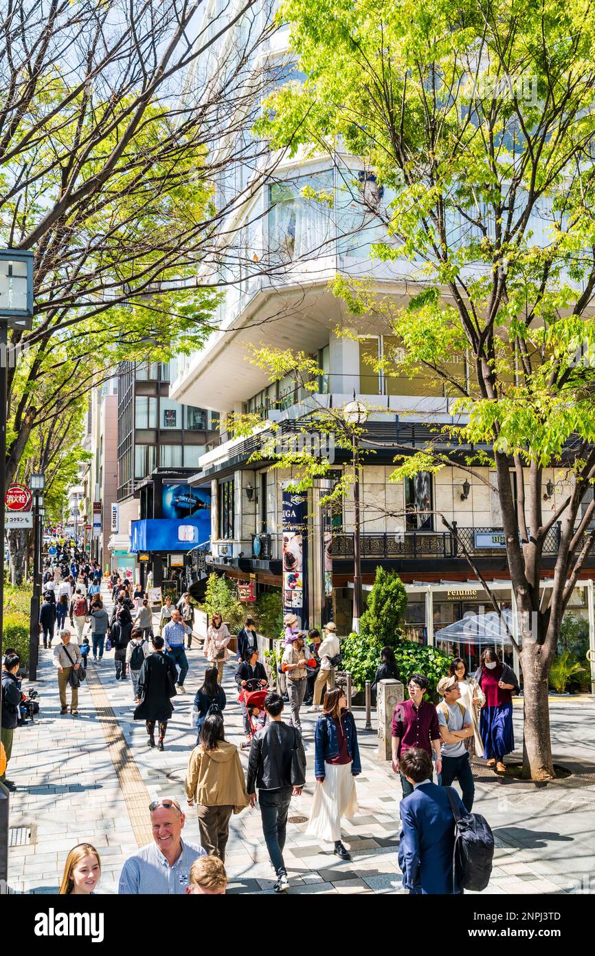 View along crowded pavement in the springtime sunshine outside the ...