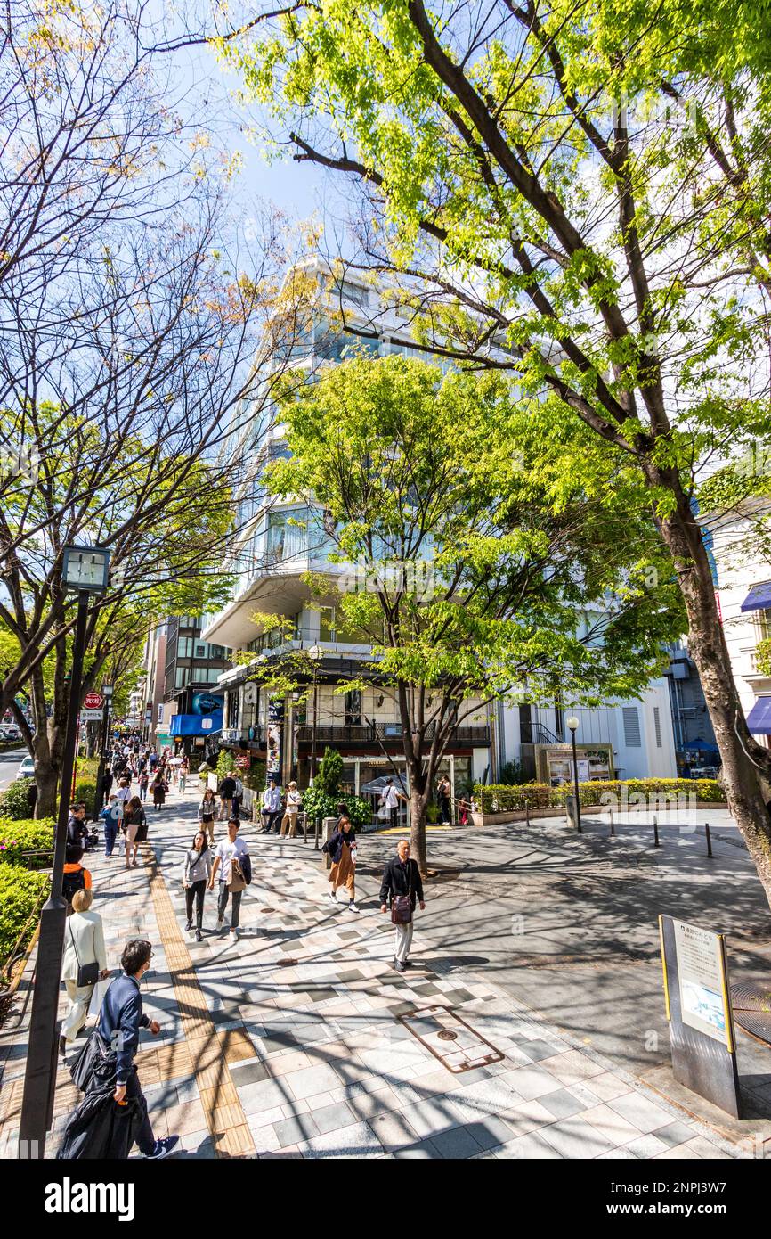 View along crowded pavement in the springtime sunshine outside the ...