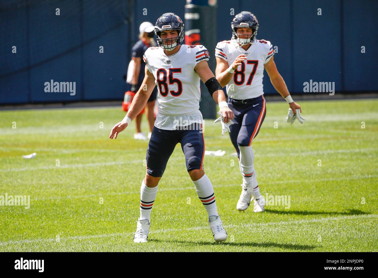 Chicago Bears tight end Cole Kmet (85) warms up during NFL football ...