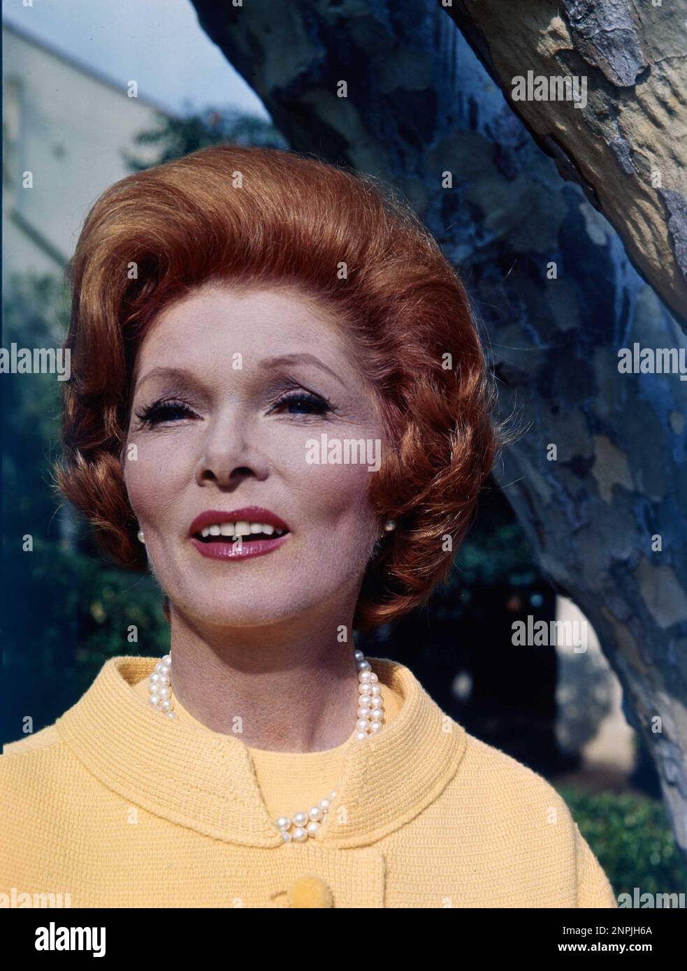 EVELYN SCOTT 1964 Portrait US TV Series PEYTON PLACE 1964 - 1969 based ...