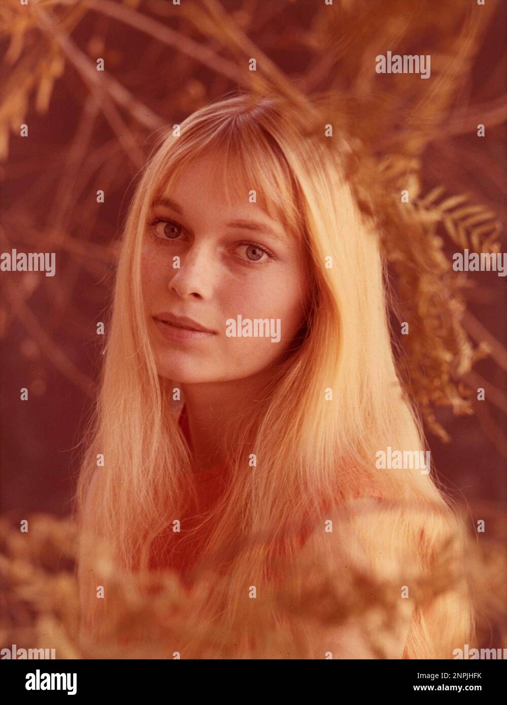 MIA FARROW circa 1964 Portrait in US TV Series PEYTON PLACE 1964 - 1969 ...