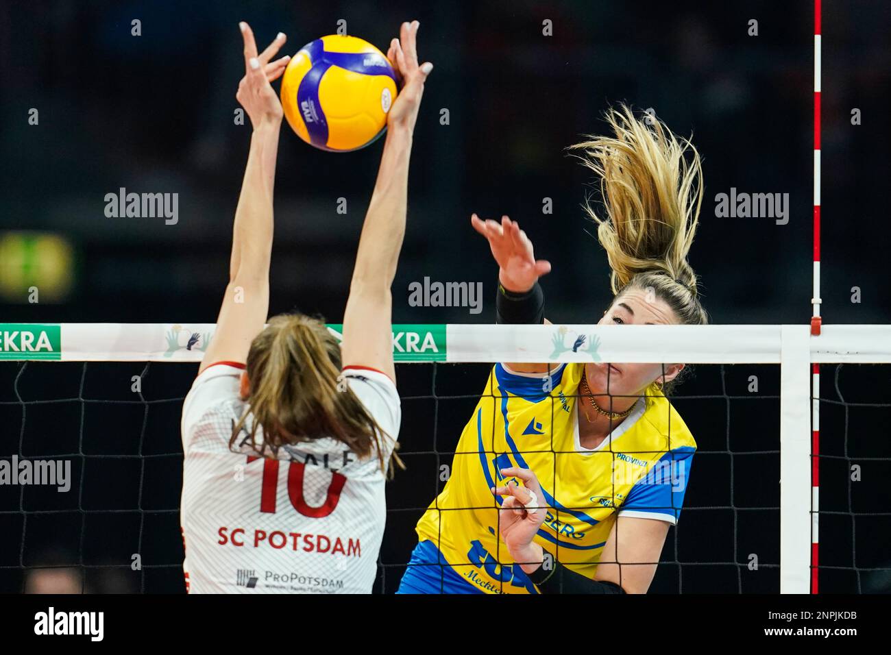 Mannheim, Germany. 26th Feb, 2023. Volleyball, Women: DVV Cup, SSC ...