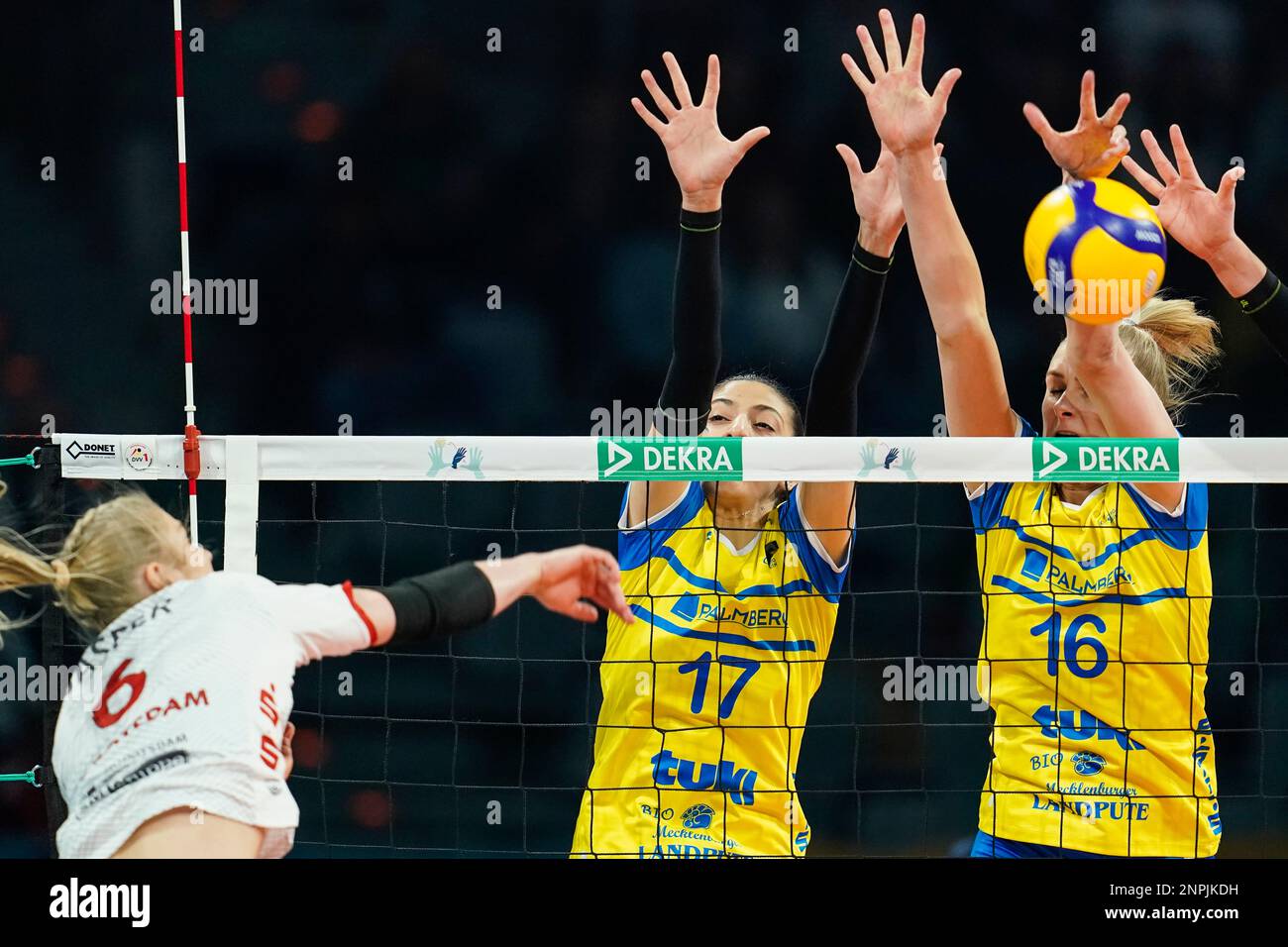 Mannheim, Germany. 26th Feb, 2023. Volleyball, Women: DVV Cup, SSC ...