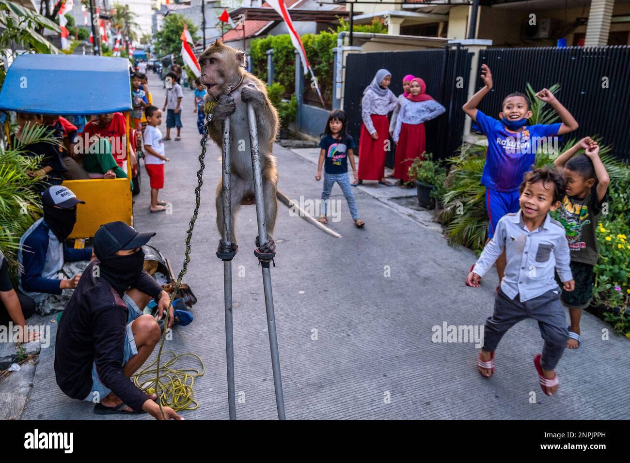Otoy, a monkey trained to perform various tricks popularly known as ...