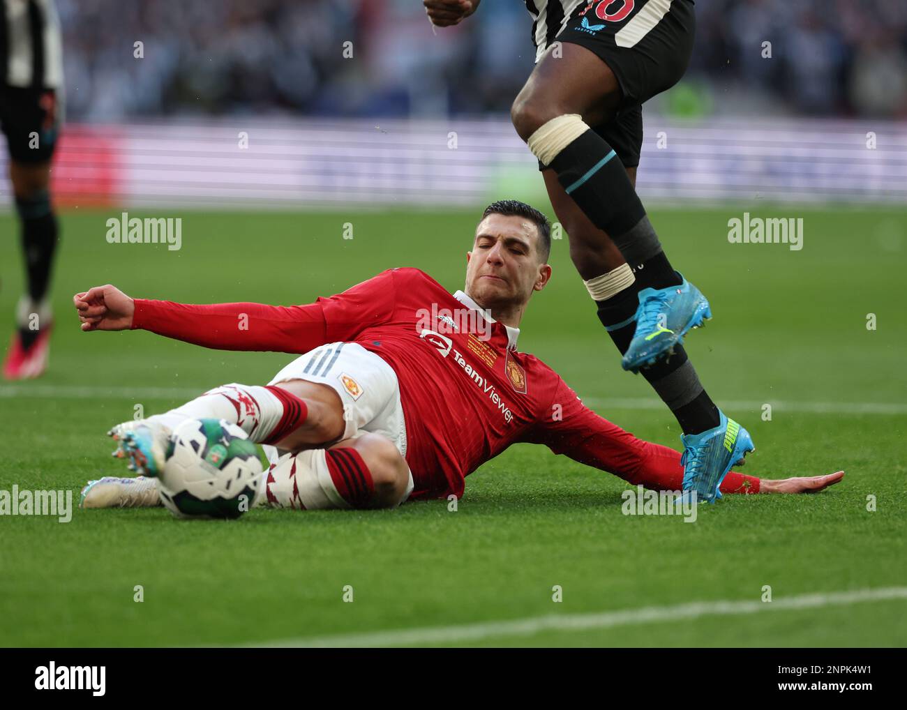Carabao slide hi-res stock photography and images - Alamy