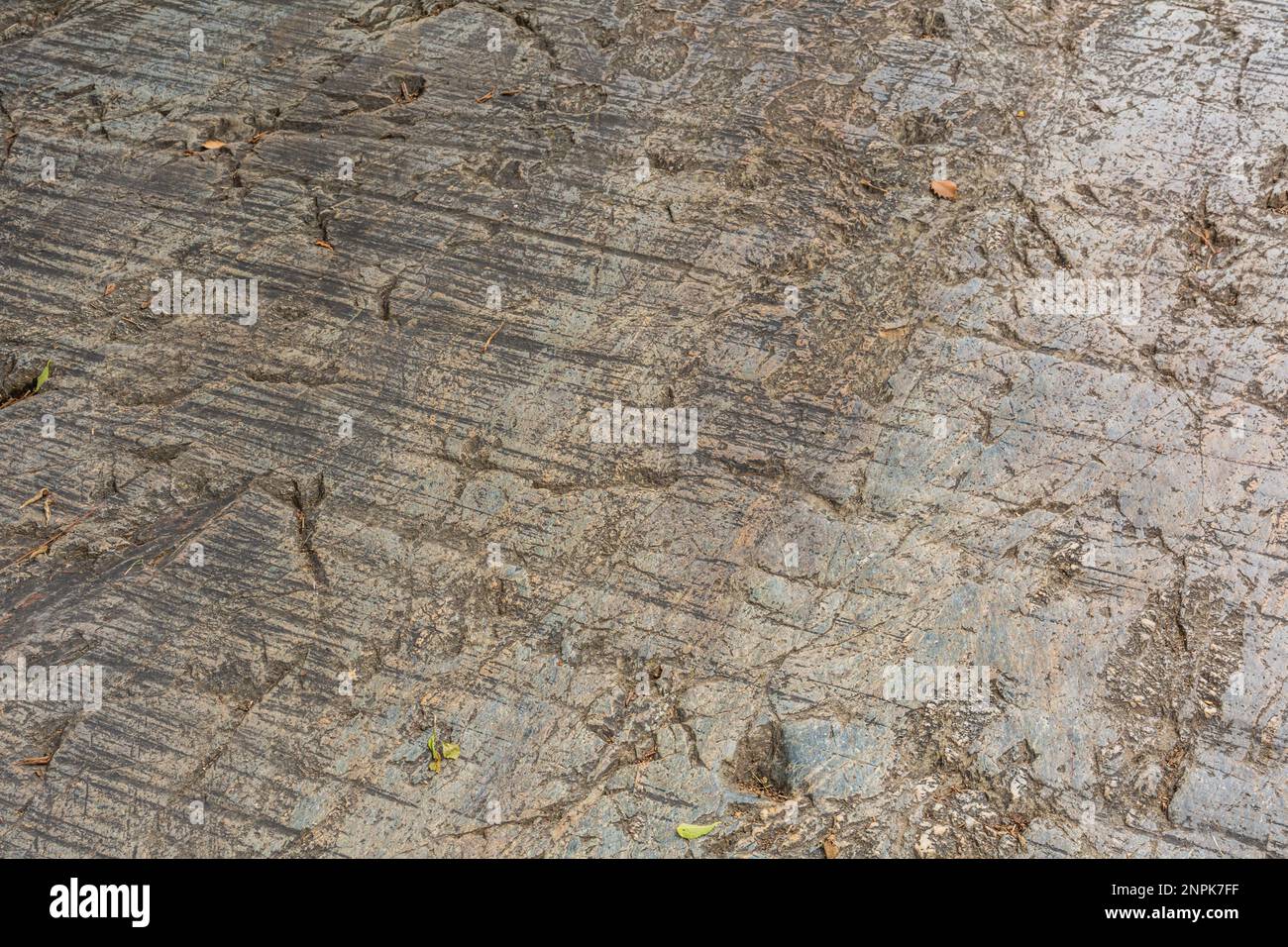 Glacial abrasion is the result of the movement of glaciers. at the ...