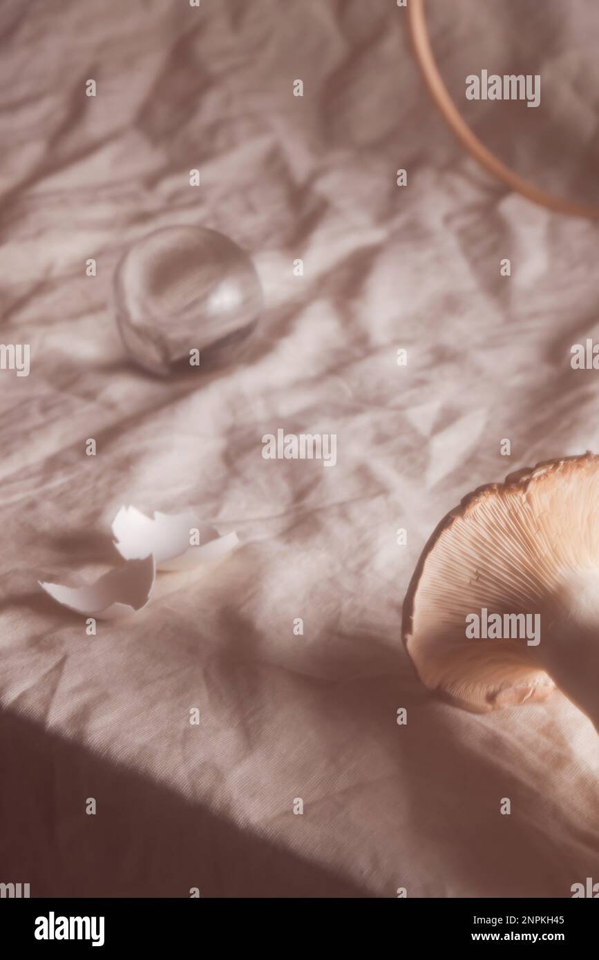 boho and kinfolk design. composition from different items.mushroom ...