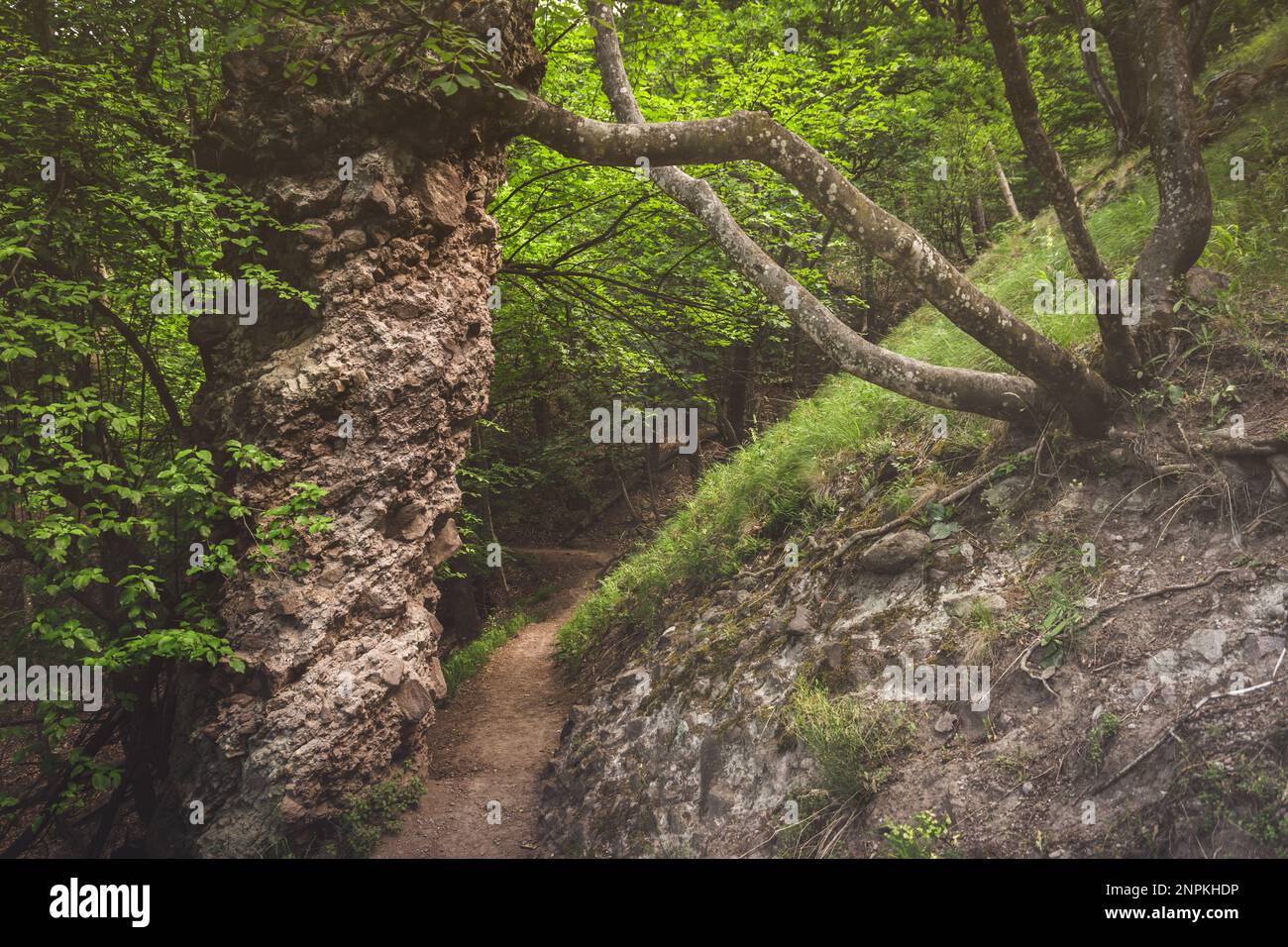 Spectacular rock tower on the Spartacus trail in the Visegrád Mountains ...