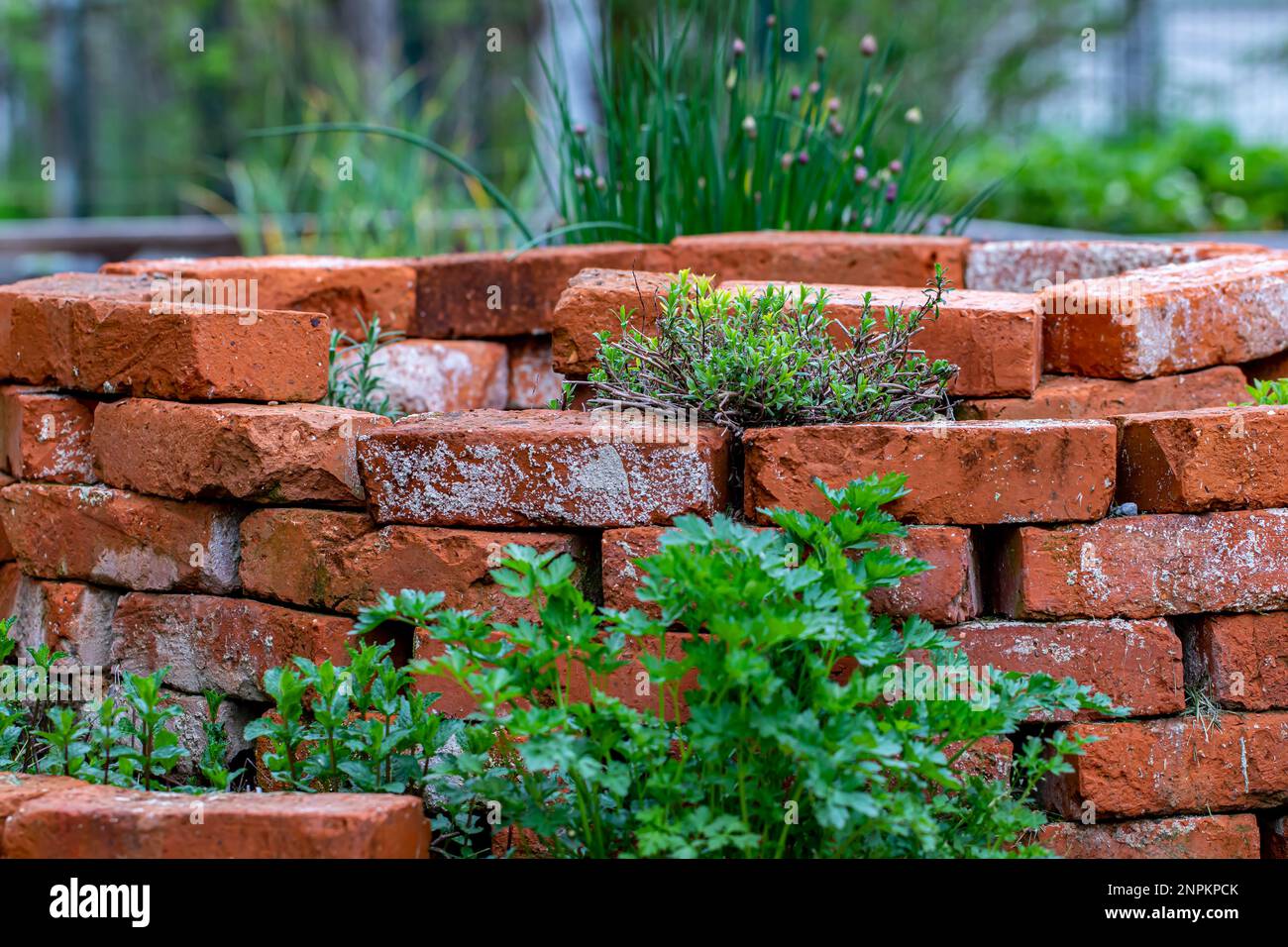 Surrounded by red brickwork hi-res stock photography and images - Alamy