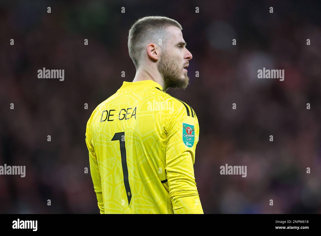 David De Gea #1 of Manchester United during the Carabao Cup Final match ...