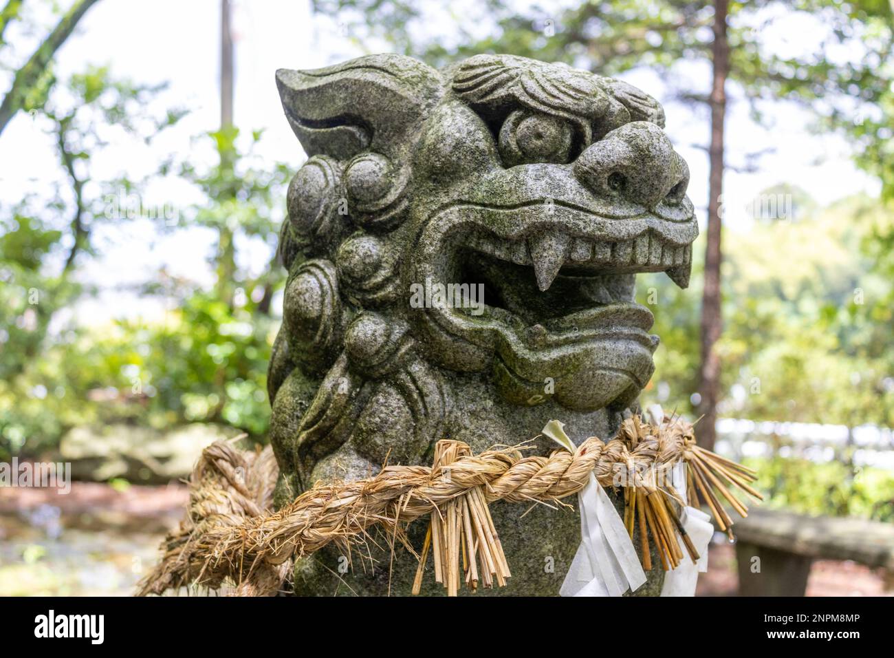 Komainu, or lion-dog, statue at imohoritougorou jinja, Kanazawa, Japan ...