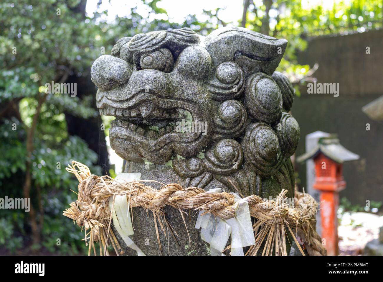 Komainu, or lion-dog, statue at imohoritougorou jinja, Kanazawa, Japan ...