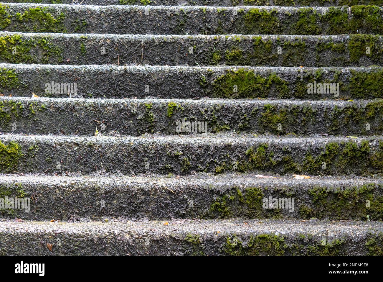 Abstract image of stone steps at shrine, Kanazawa, Japan Stock Photo ...