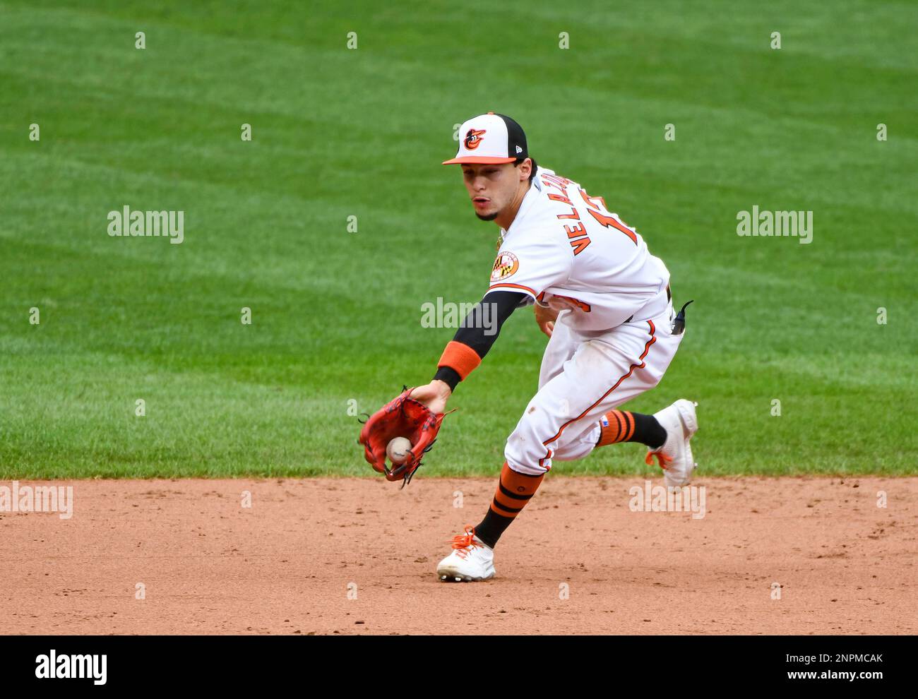BALTIMORE, MD - AUGUST 16: Baltimore Orioles shortstop Andrew Velazquez ...