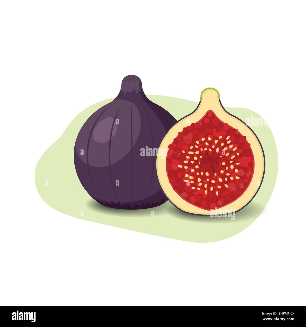 Figue cartoon fruit. Vegan organic eco product. vector illustration ...