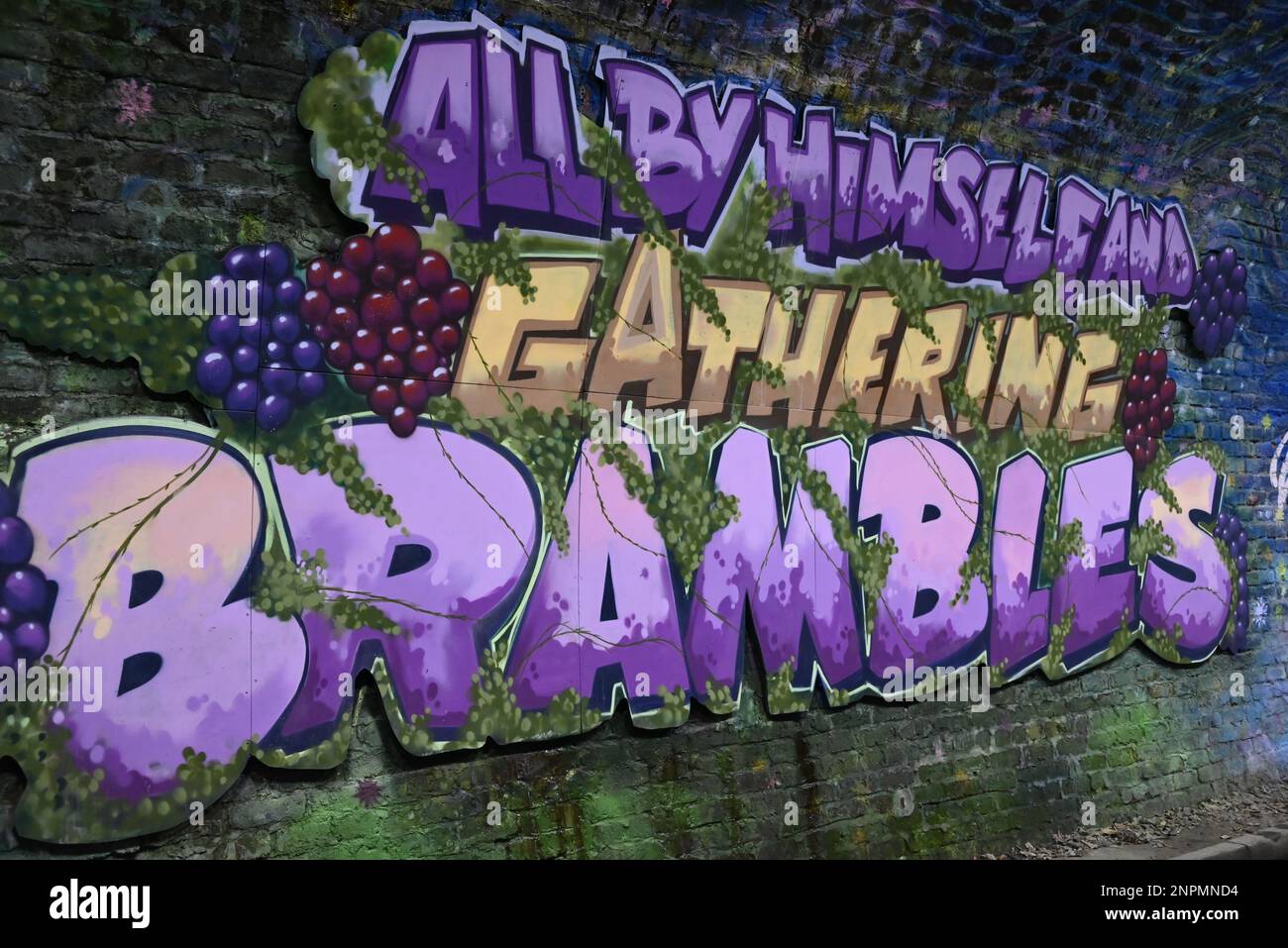 Colinton tunnel Scotland's biggest mural Stock Photo - Alamy