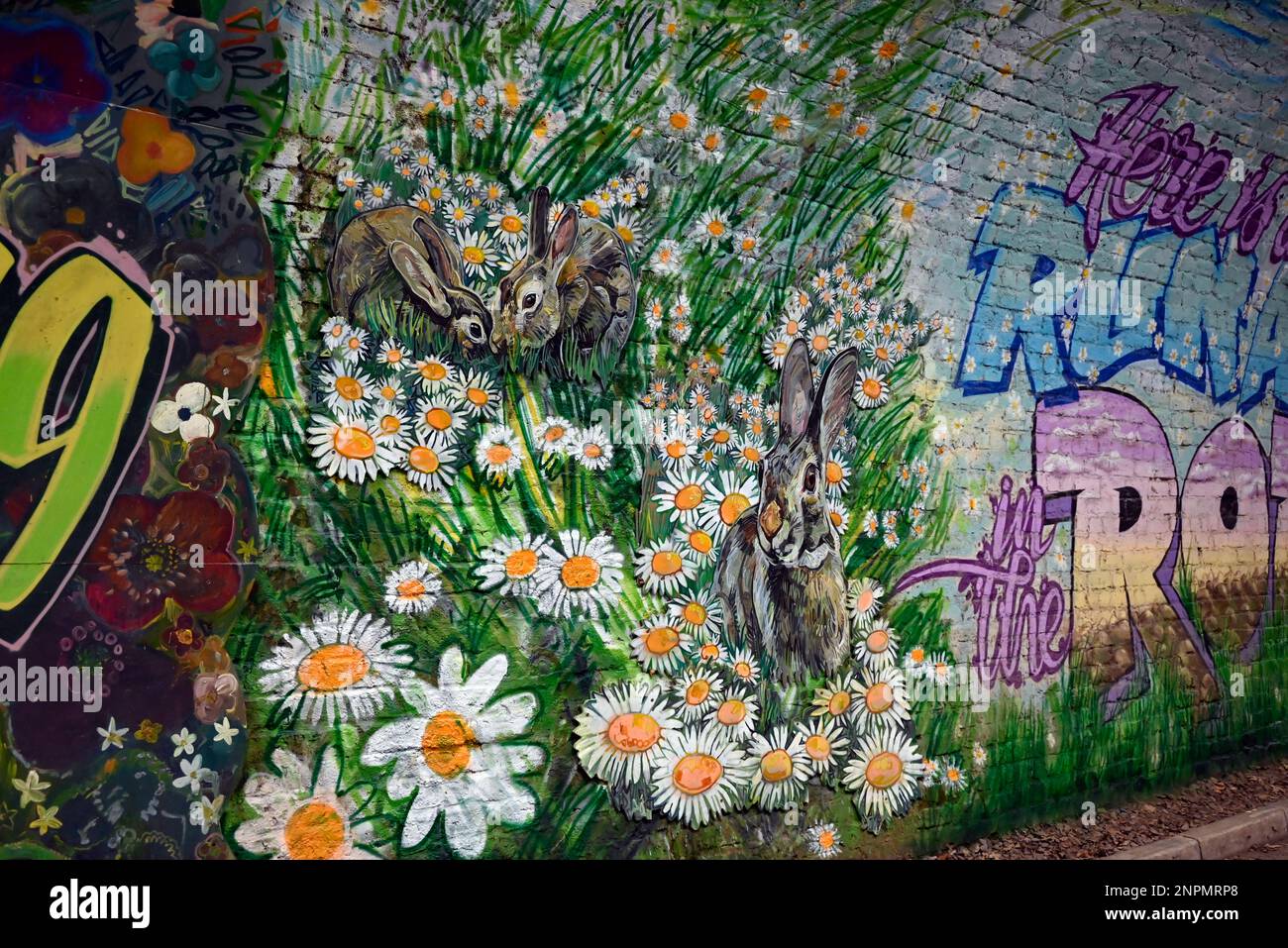 Colinton tunnel Scotland's biggest mural Stock Photo - Alamy