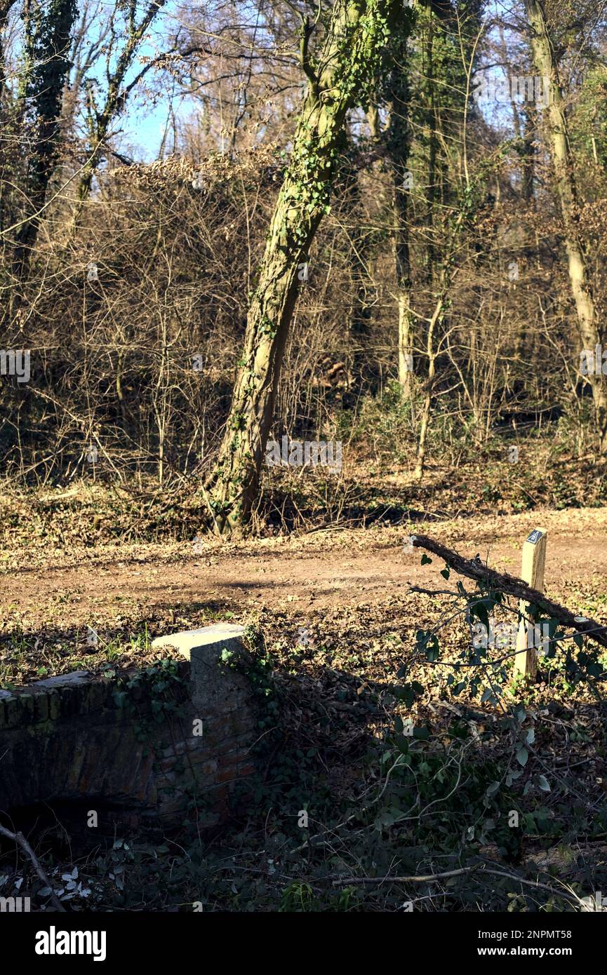 Crossing between trail in a park over an old brick footbridge next to a ...
