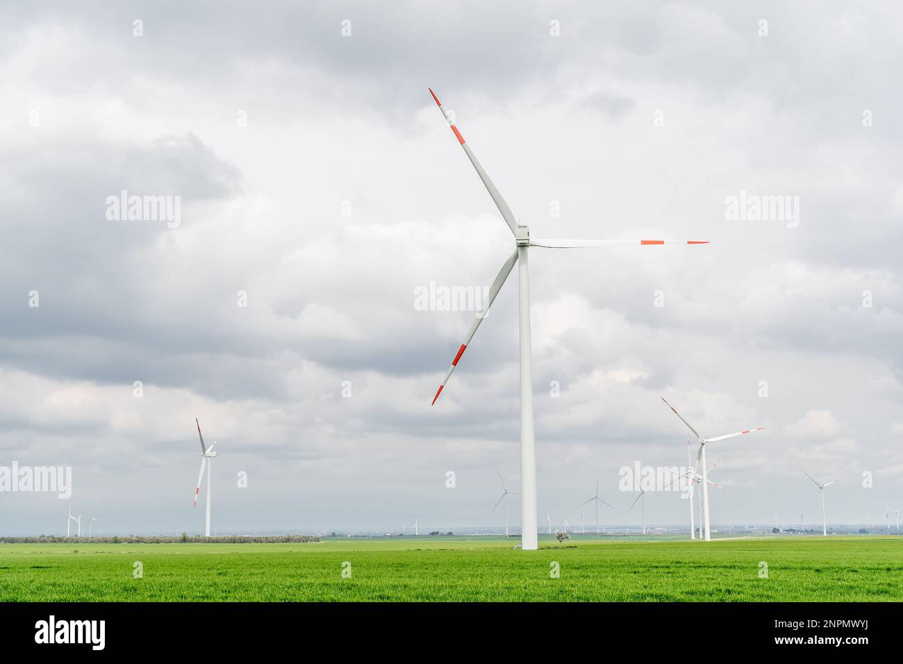 Wind farm in a green field, Wind turbines produce Green Energy Stock ...