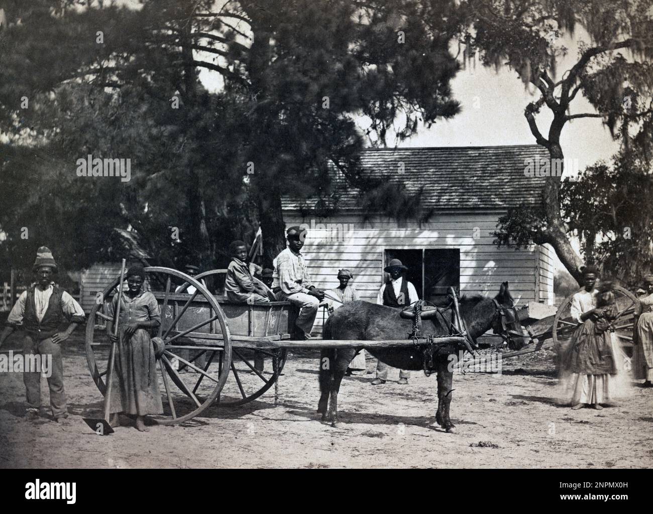 Slaves in 1862 America, plantation of James Hopkinson Stock Photo - Alamy