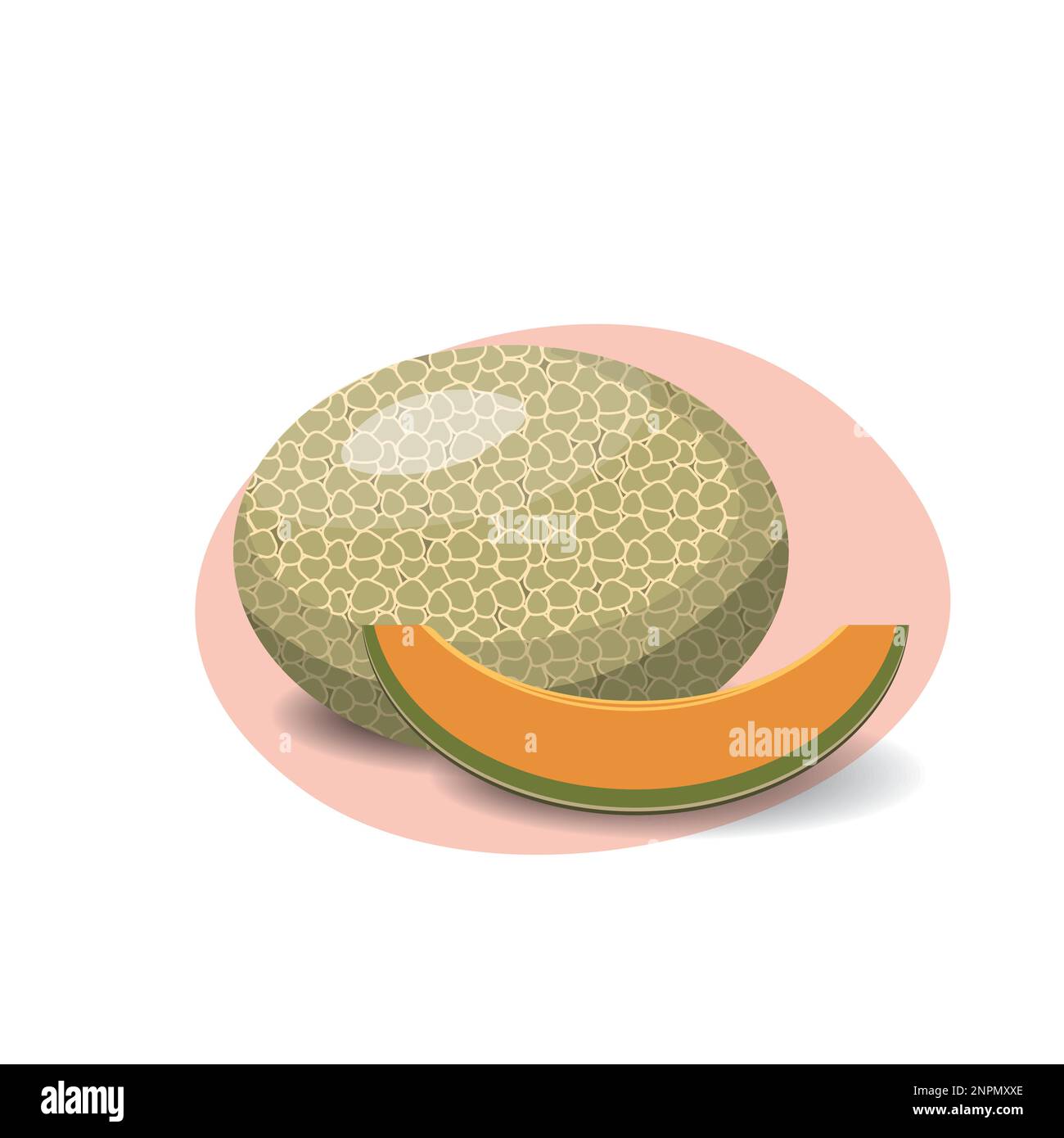 Melon cartoon fruit. Vegan organic eco product. vector illustration ...