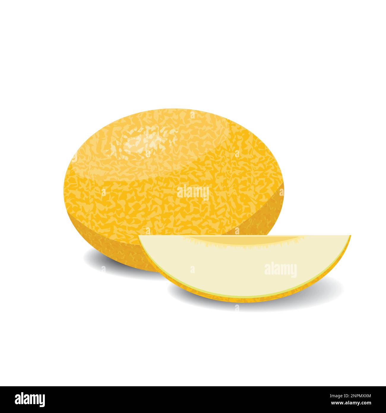 Melon cartoon fruit. Vegan organic eco product. vector illustration ...