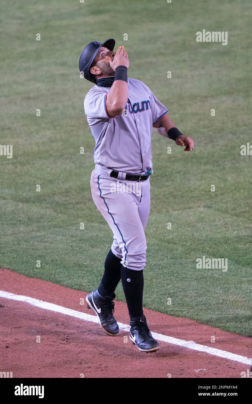 BUFFALO, NY - AUGUST 11: Miami Marlins Catcher Francisco Cervelli (29 ...