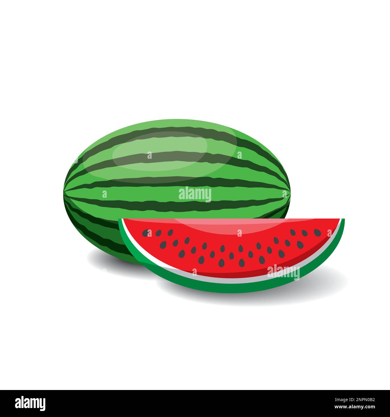Watermelon cartoon fruit. Vegan organic eco product. vector ...