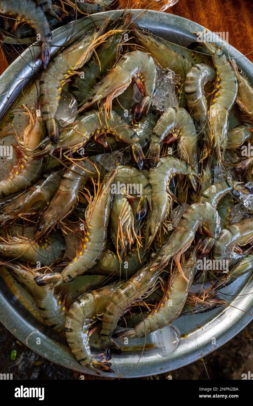 Raw whole shrimps for sale in a Fish market. Seafood Market with fresh ...