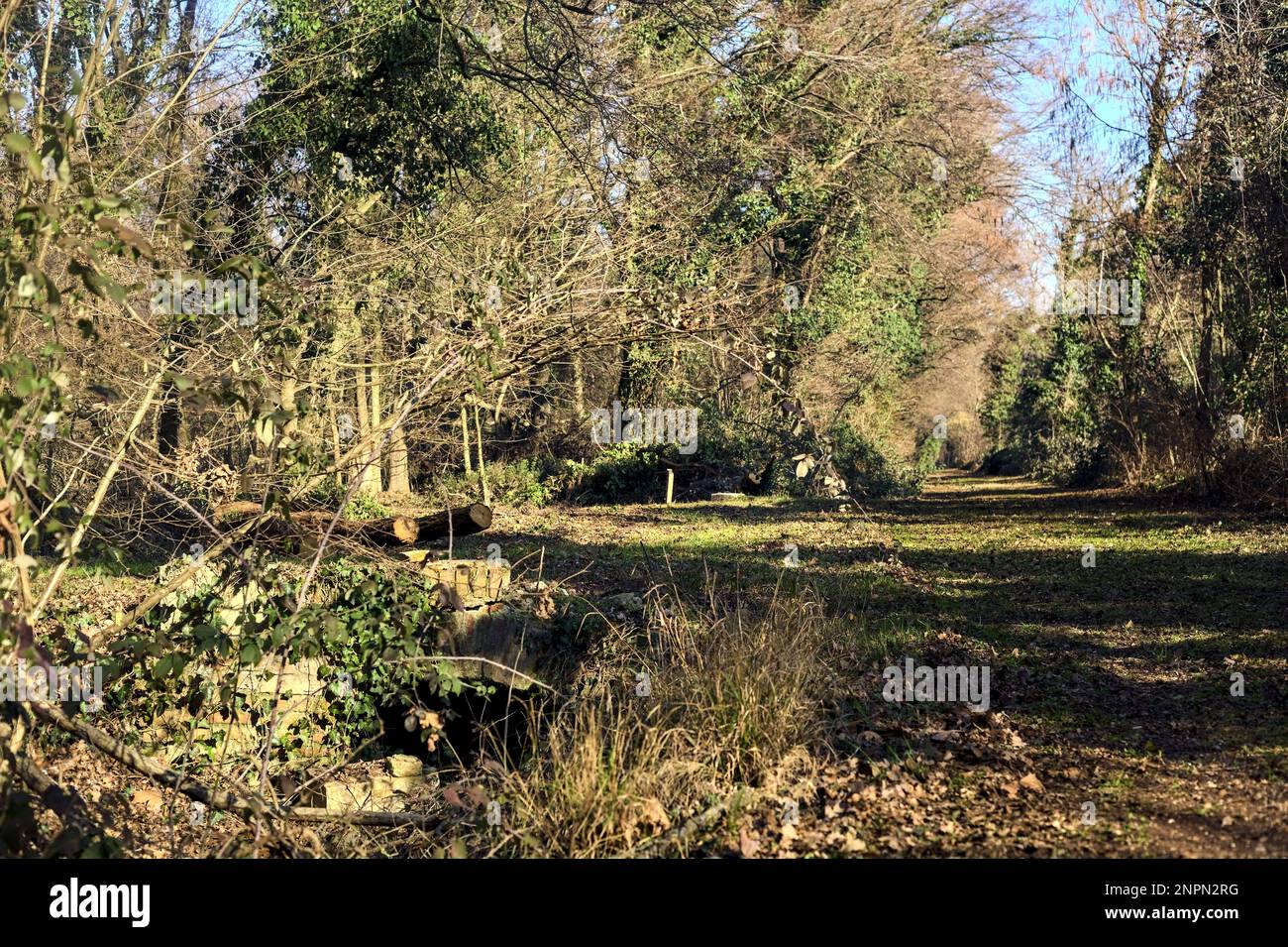 Crossing between trail in a park over an old brick footbridge next to a ...