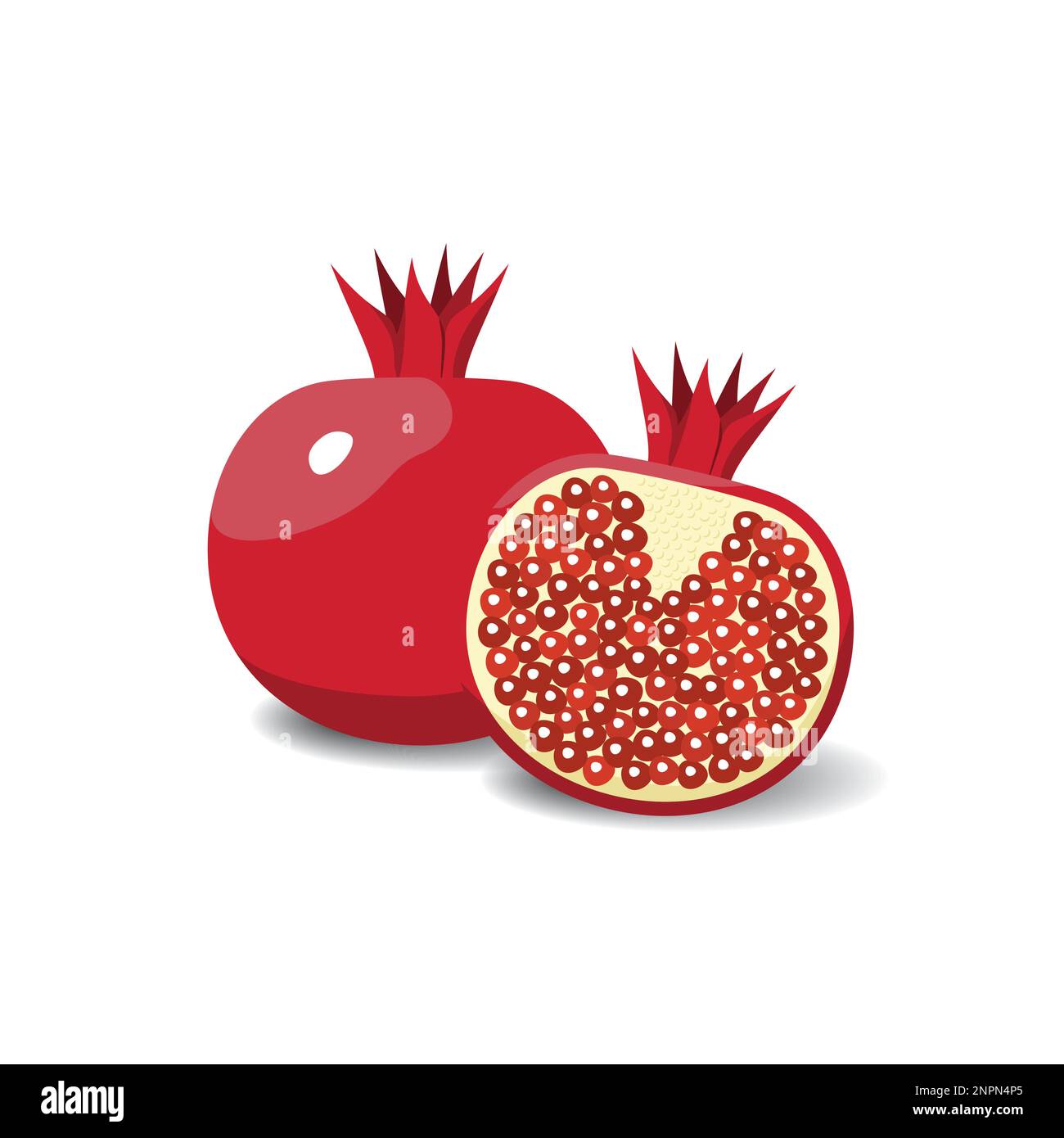 Pomegranate cartoon fruit. Vegan organic eco product. vector ...