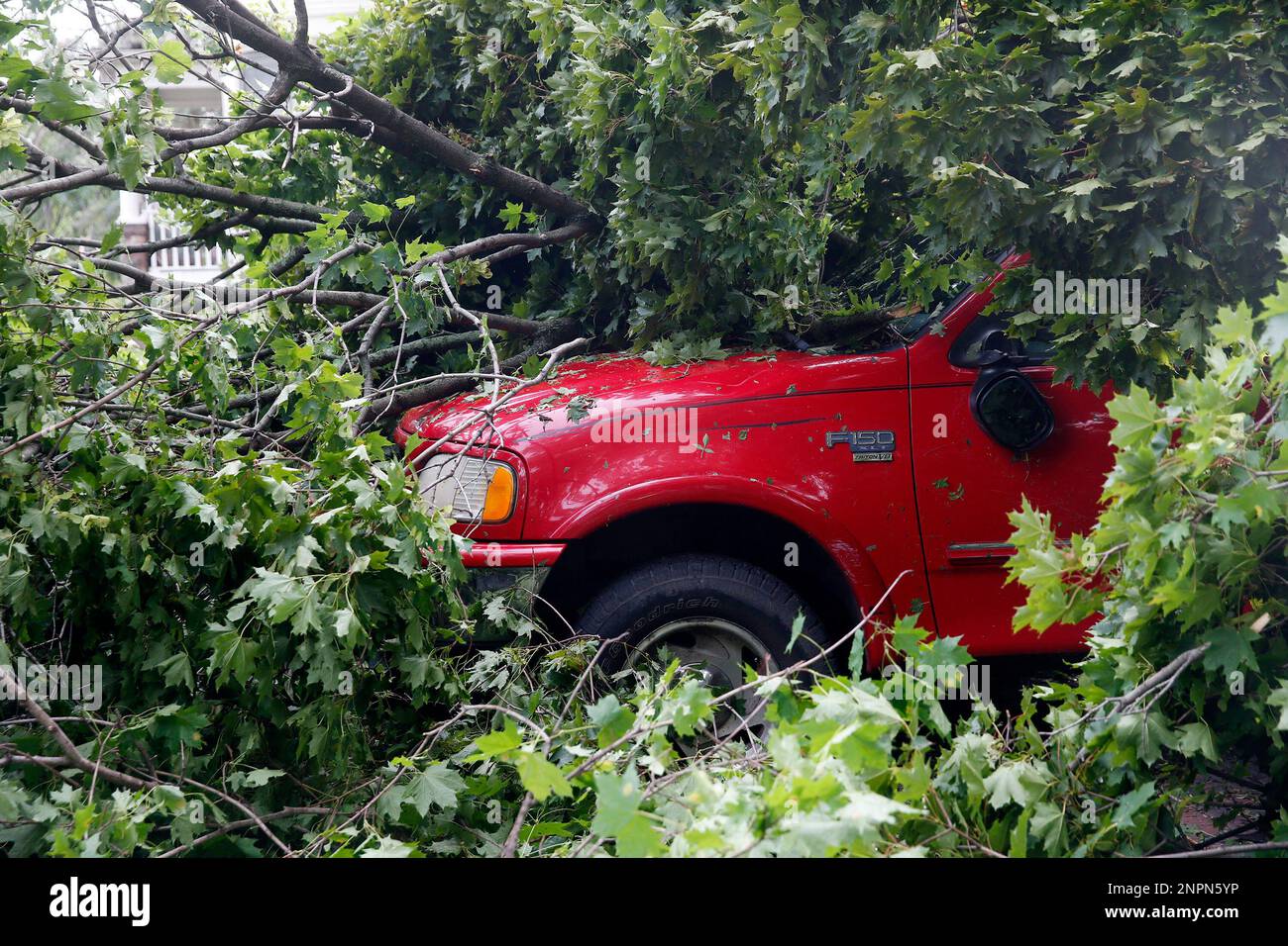 A truck is covered by fallen trees in Cedar Rapids after a powerful ...