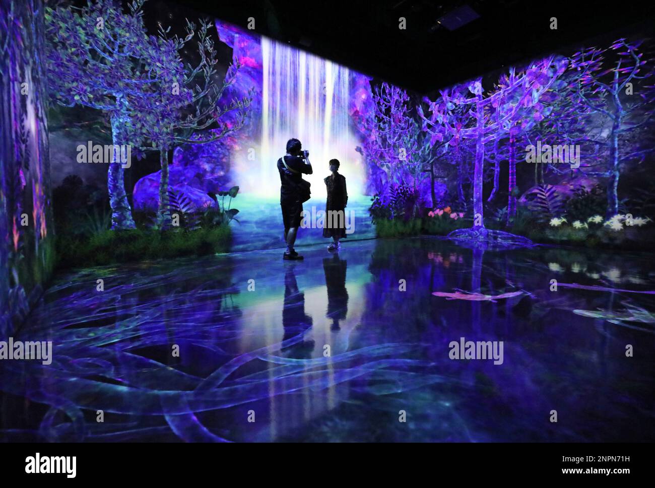 The digital museum "teamLab Forest" of the art group "teamLab" is ...