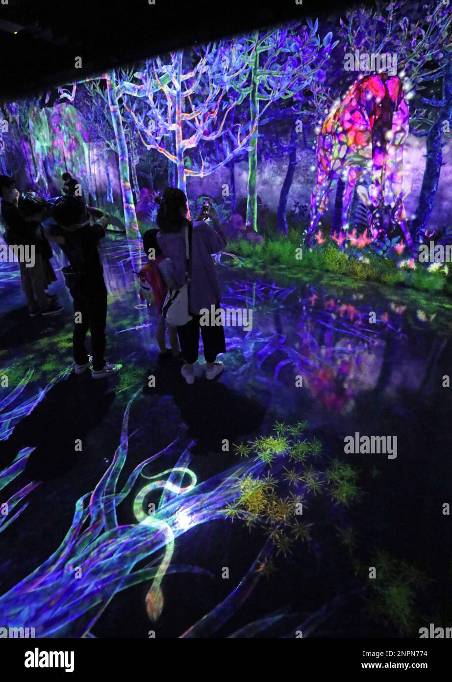 The digital museum "teamLab Forest" of the art group "teamLab" is ...