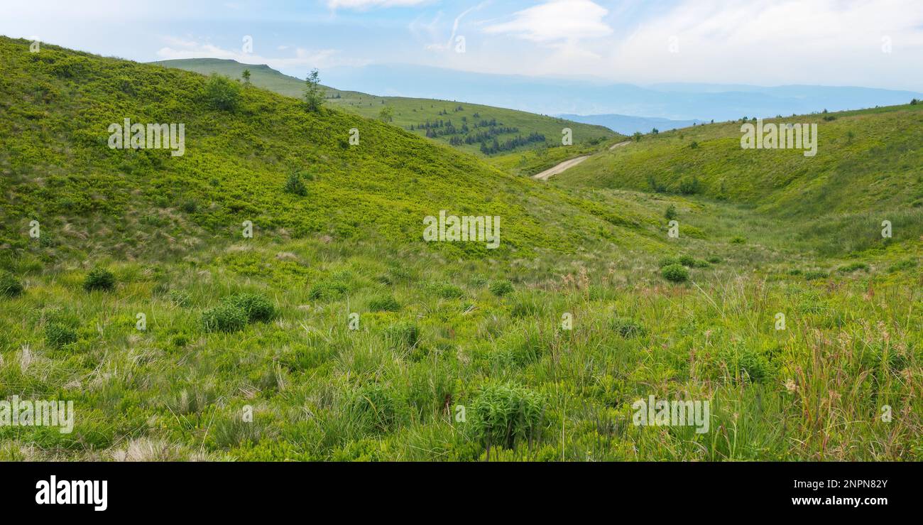 Summer mountain landscape grassy hi-res stock photography and images ...