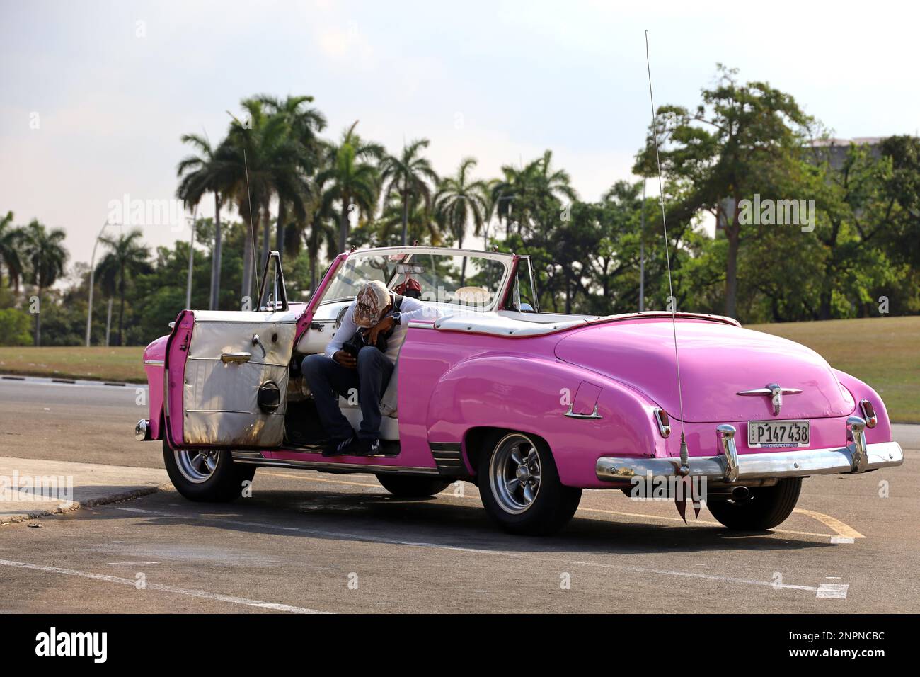 Taxi driver waiting tourists in vintage pink car Chevrolet on a city ...