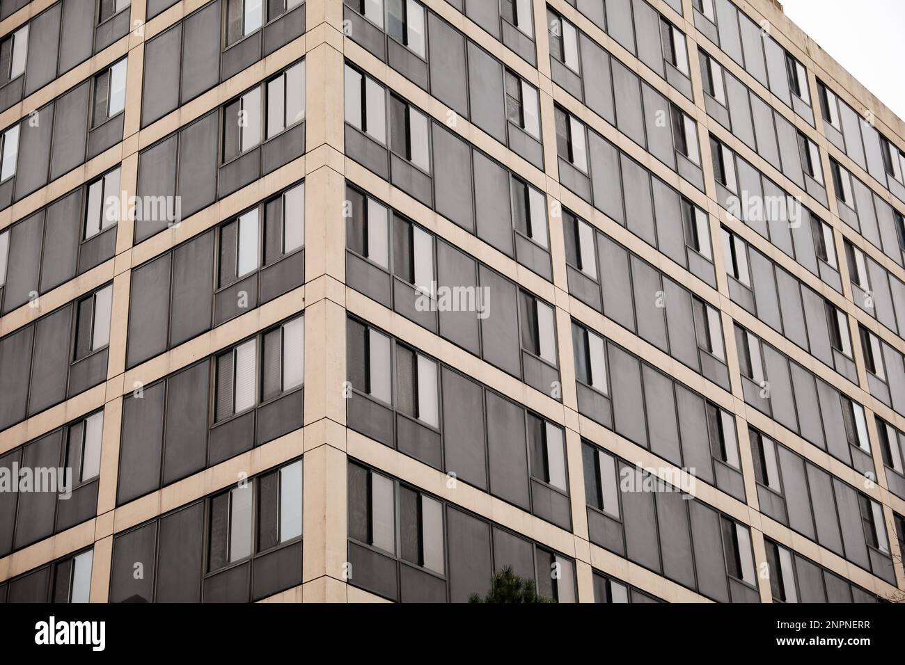 Modern bulidings with large windows residential and commercial building ...