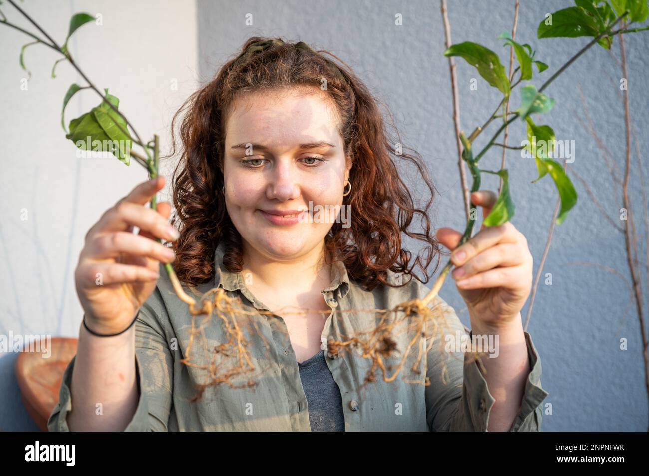 Woman with brown curly hair is smiling while separating the roots of ...