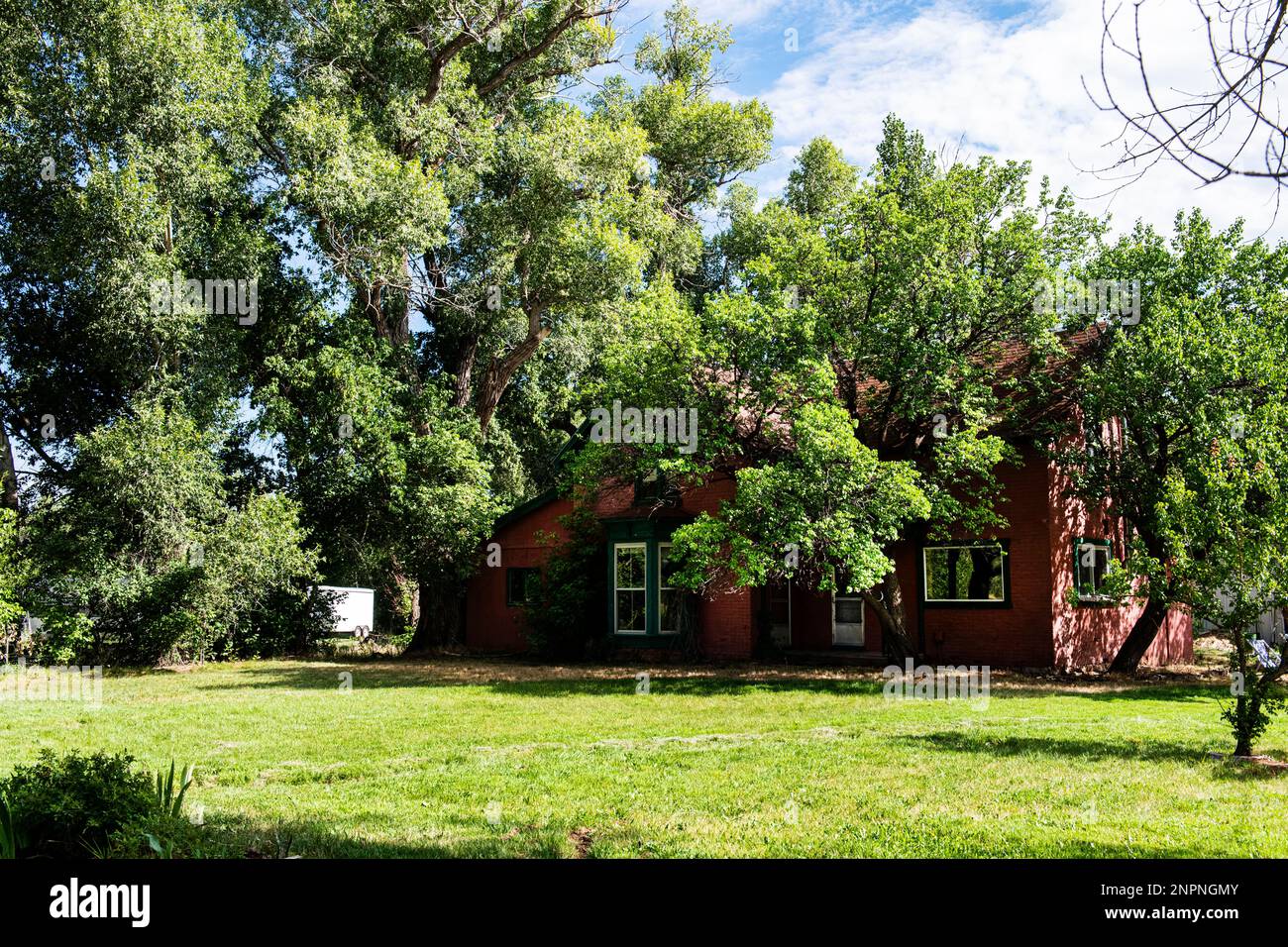 Trees grow tall around the Glassier House in Basalt, Colo., on Thursday ...
