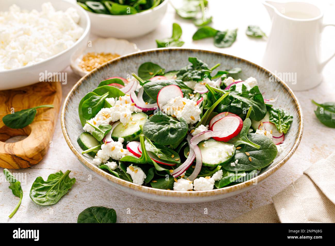 Spinach and cottage cheese fresh green vegetable salad with radish ...