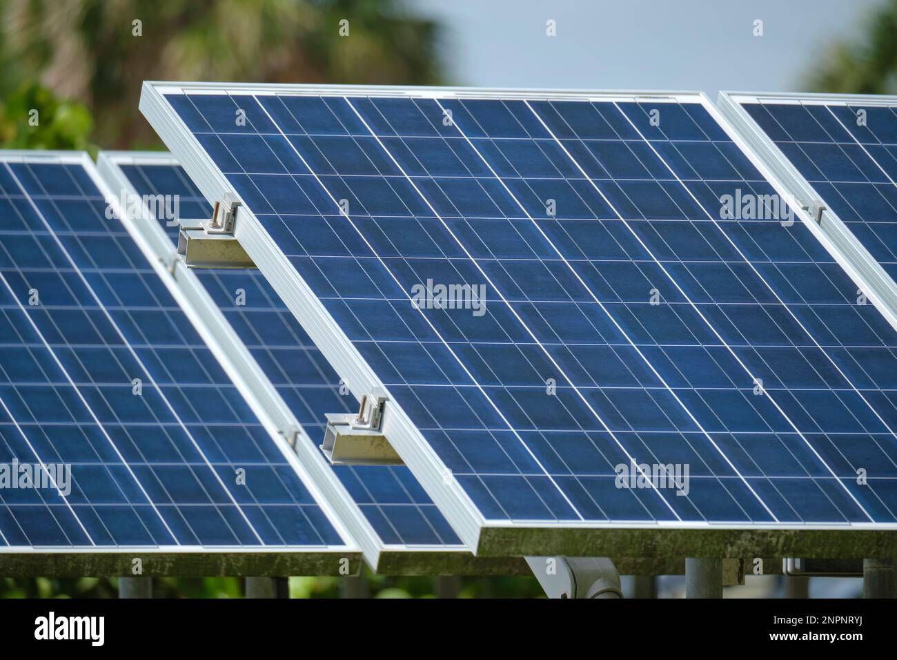 Solar photovoltaic panels mounted on stand-alone frame on backyard ...