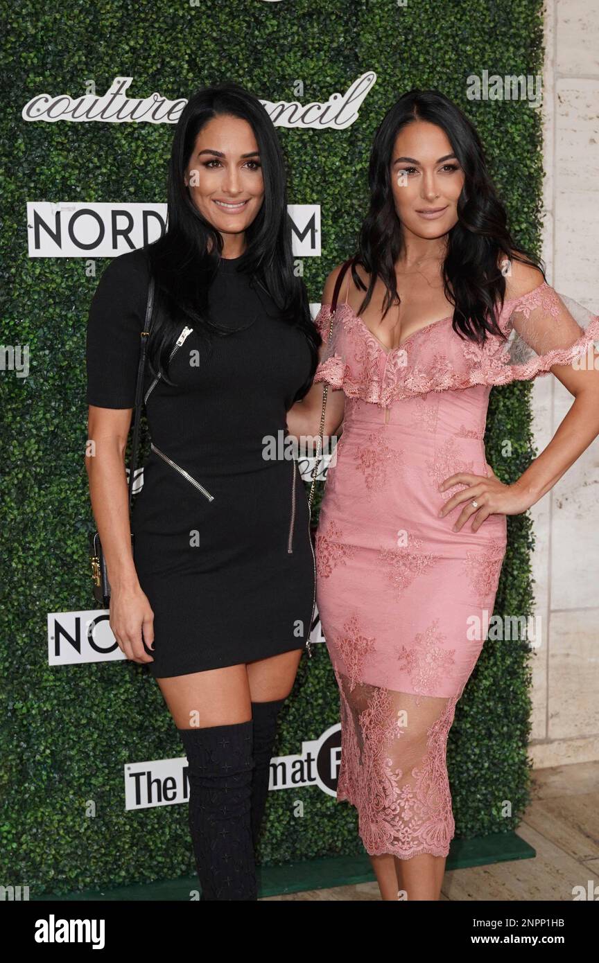 August 2nd 2020 - Brie Bella and Nikki Bella have both given birth one ...