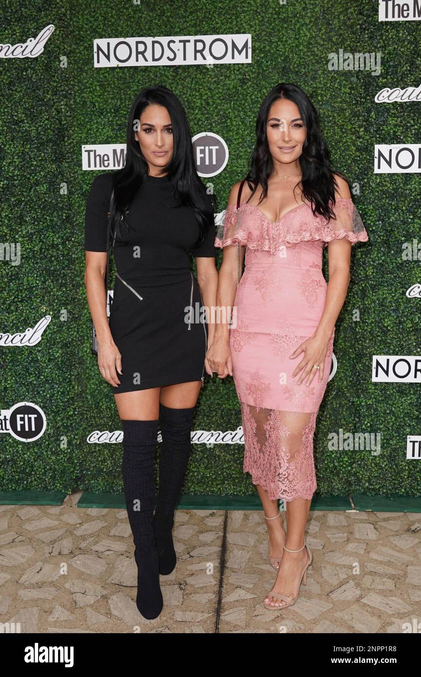 August 2nd 2020 - Brie Bella and Nikki Bella have both given birth one ...