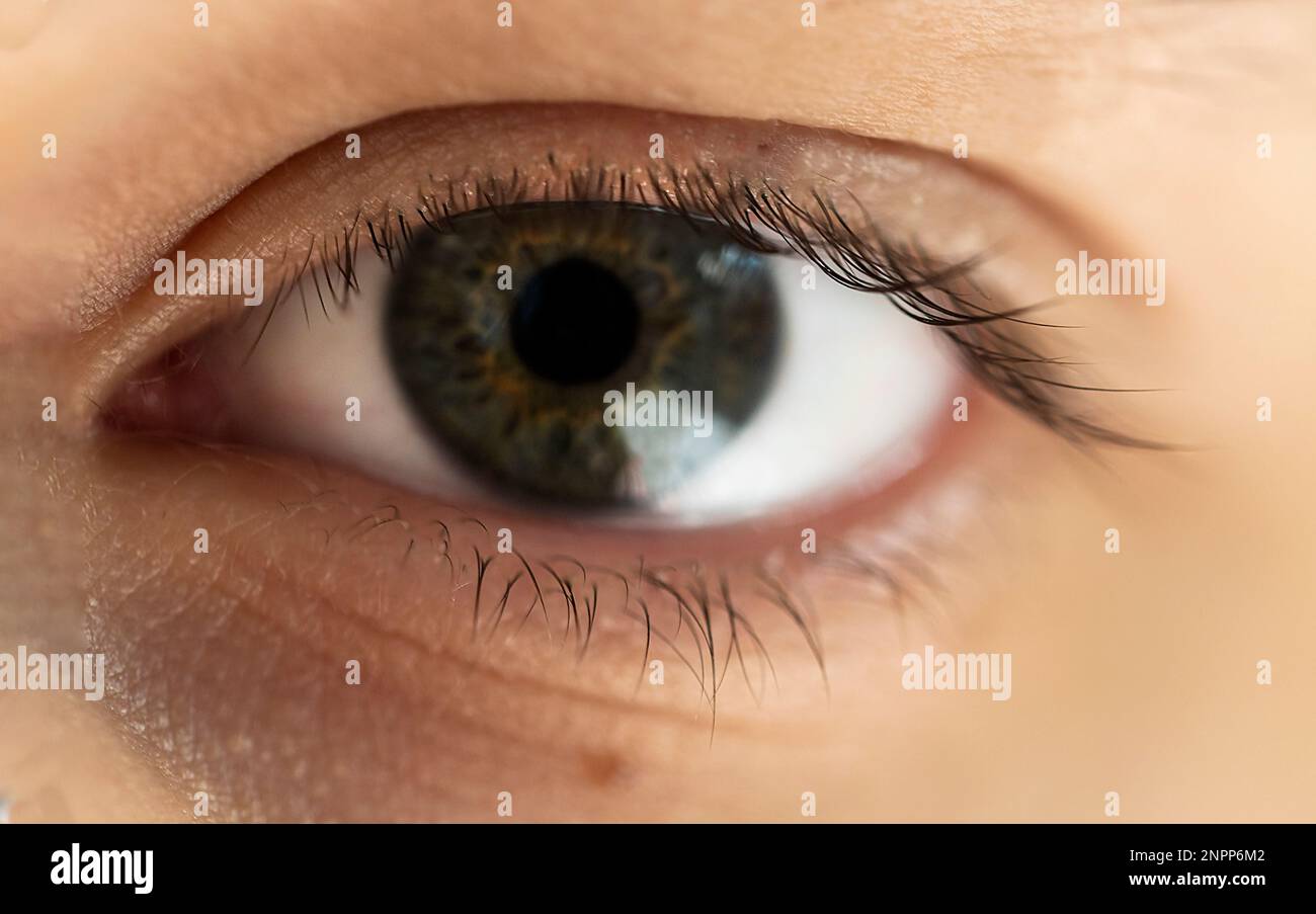 image of a human eye of a teenager with gray-green pigment, horizontal ...