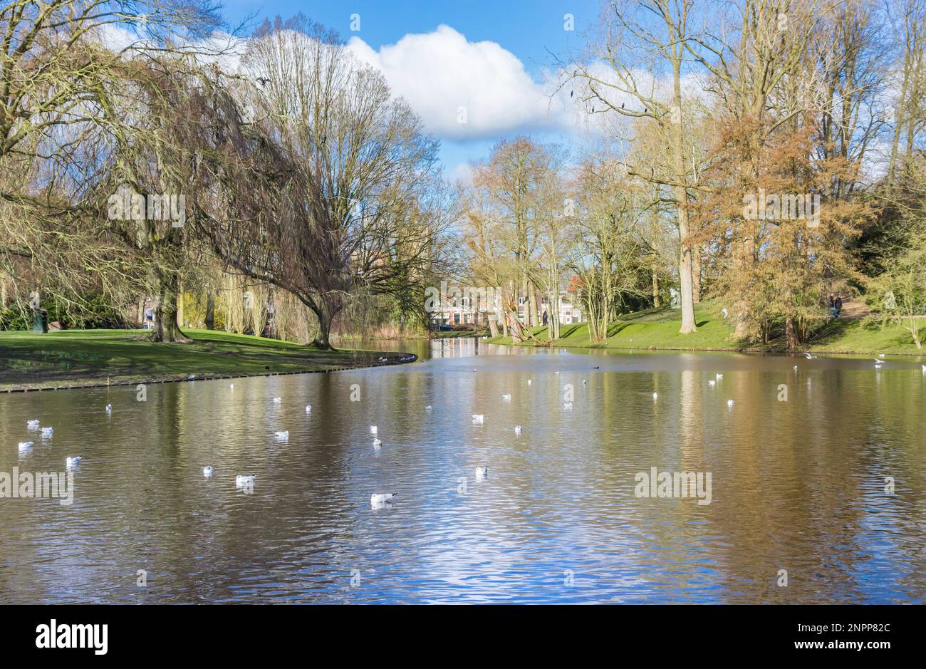 Pond in the Noorderplantsoen park in spring in Groningen, Netherlands Stock Photo - Alamy