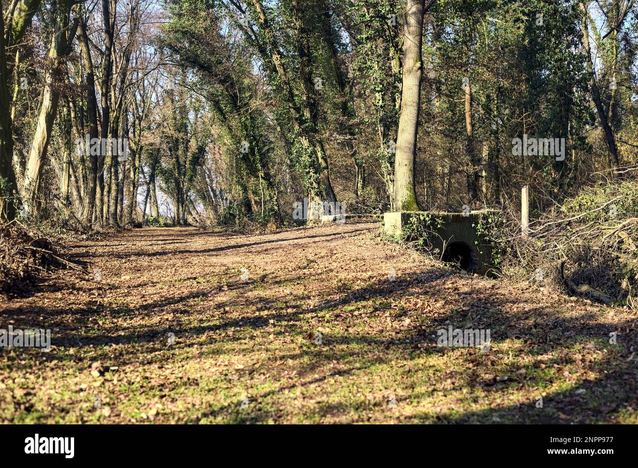 Crossing between trail in a park over an old brick footbridge next to a ...