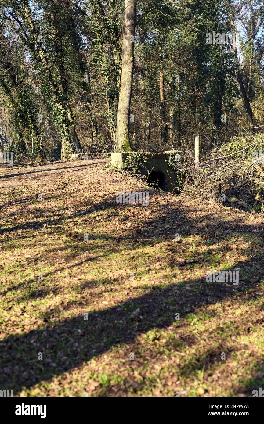Crossing between trail in a park over an old brick footbridge next to a ...