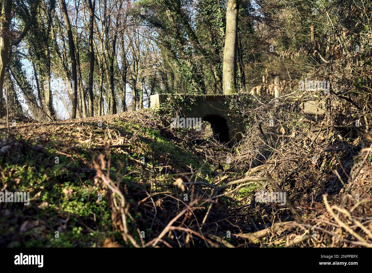 Crossing between trail in a park over an old brick footbridge next to a ...