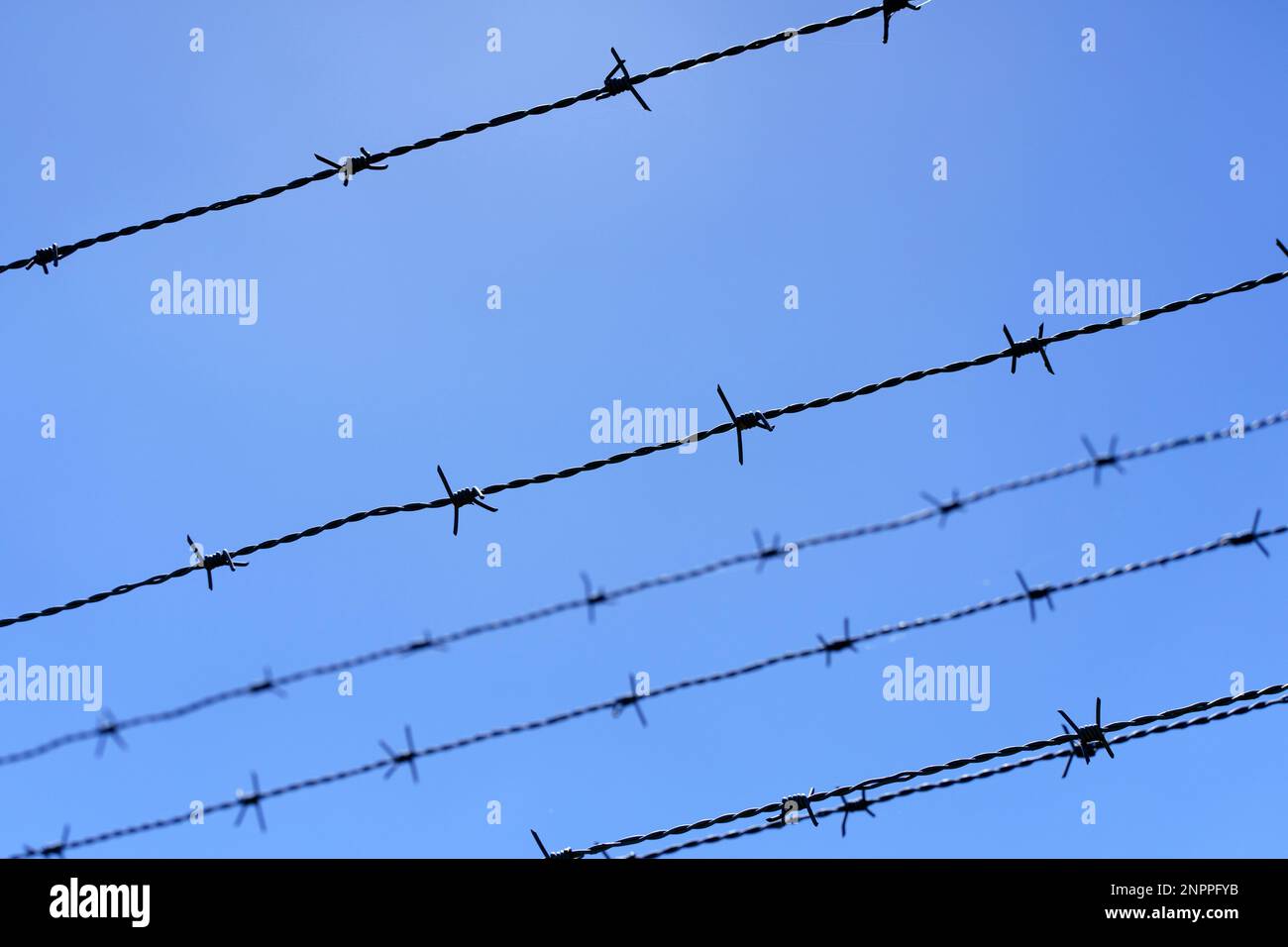 Fence with barbed wire. Border, prohibition, zone, emigration concept ...