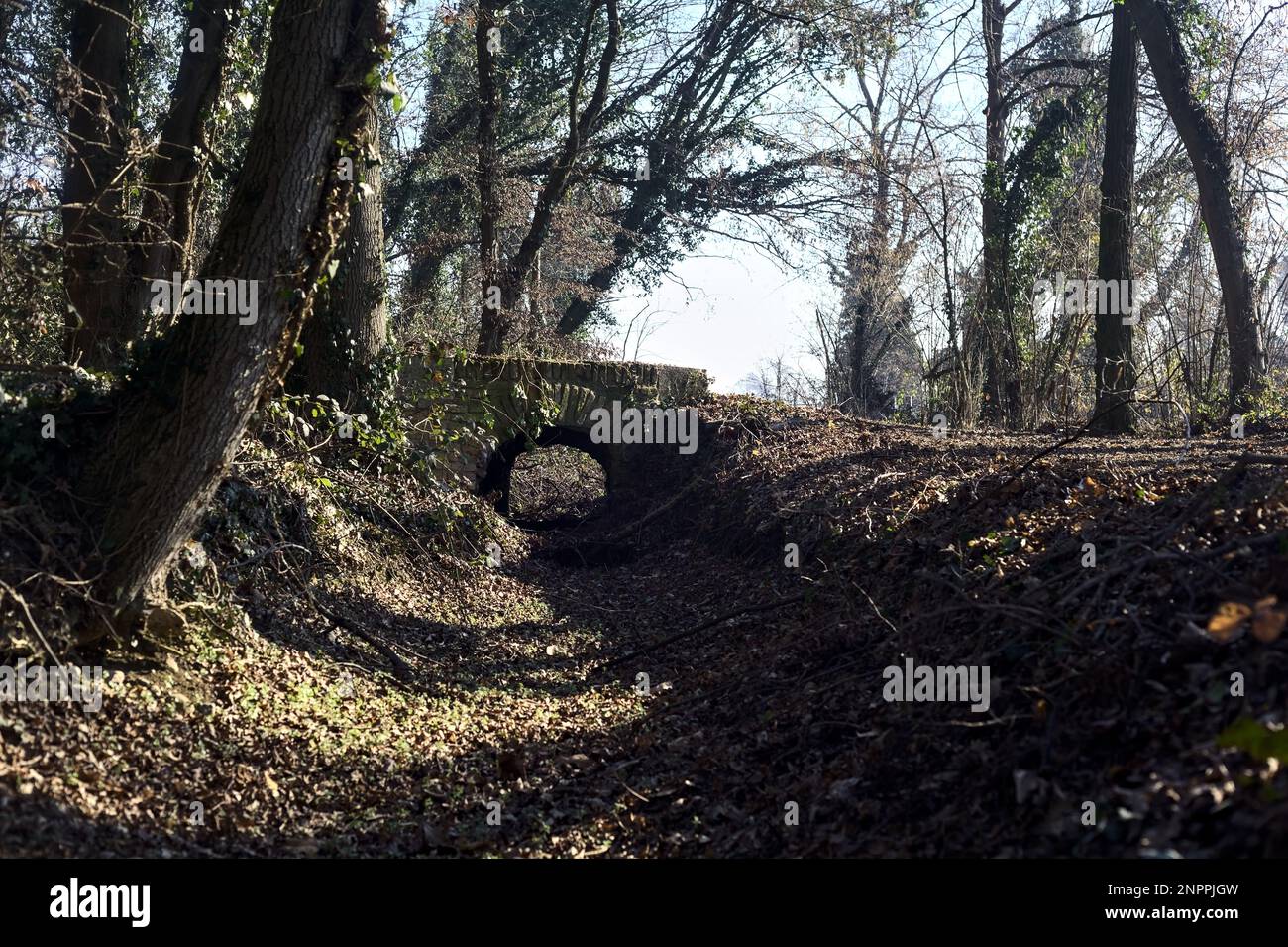 Crossing between trail in a park over an old brick footbridge next to a ...